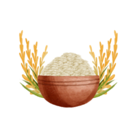 Kuruluthuda Rice: Nutritional Value and Health Benefits - Sizzling ...